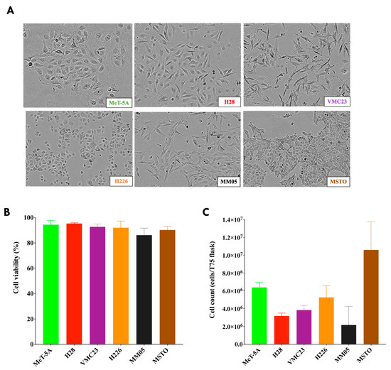 Small and Large Extracellular Vesicles Derived from Pleural ...