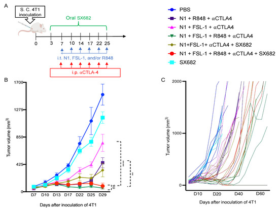 Cancers | Free Full-Text | Regression and Eradication of Triple ...