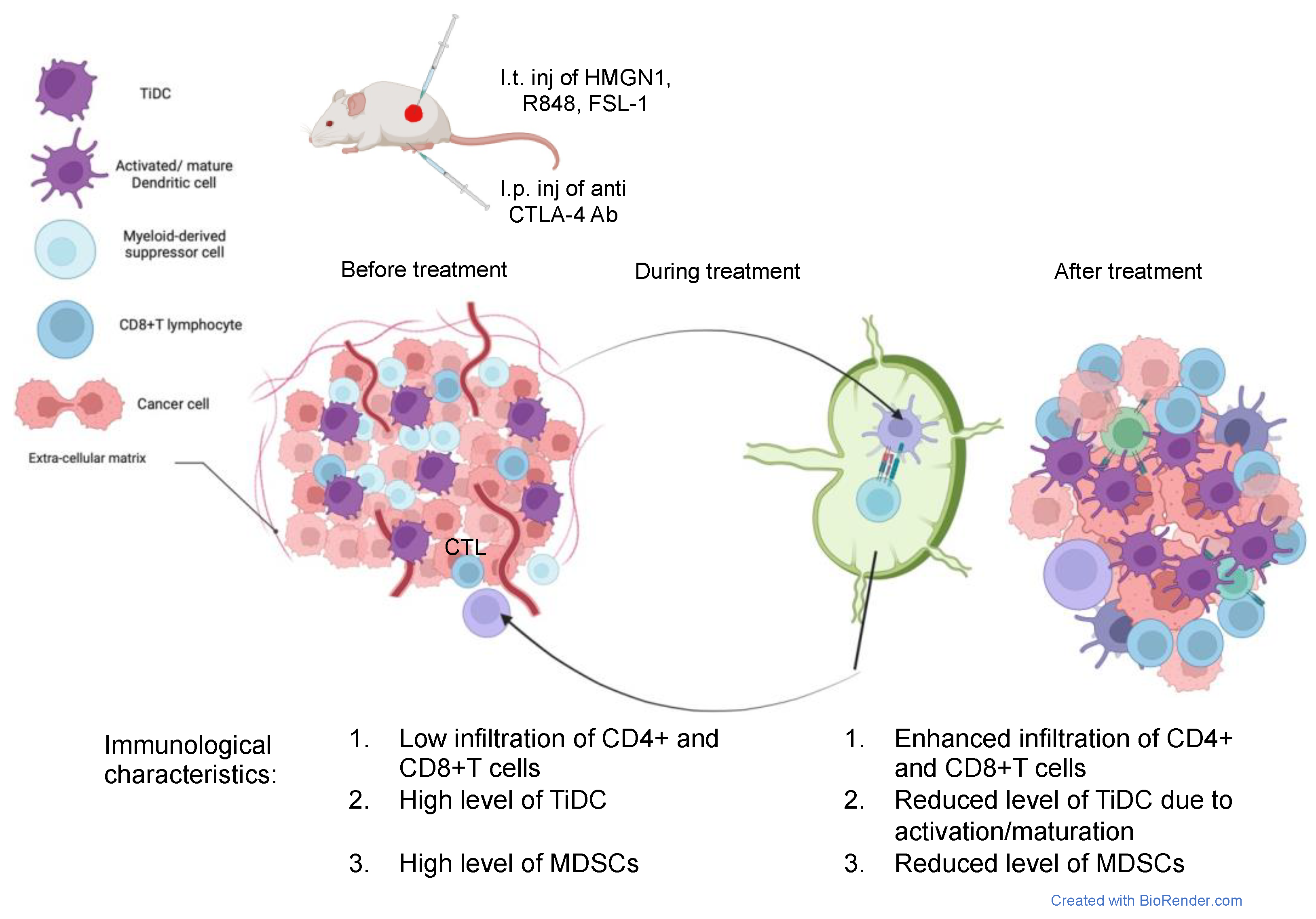 Regression and Eradication of Triple-Negative Breast Carcinoma in 4T1 ...