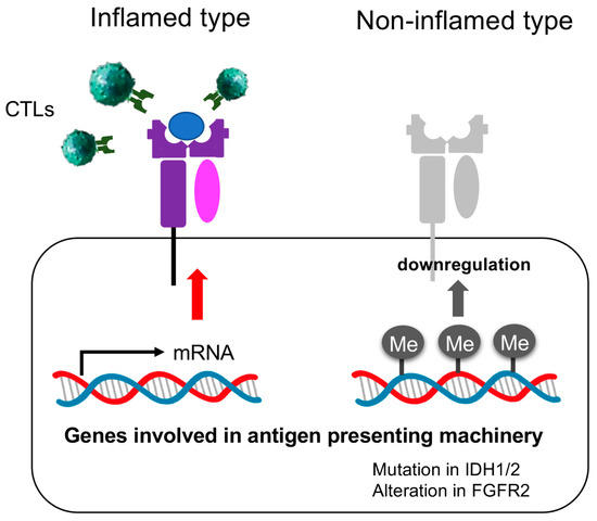 Non-Inflamed Tumor Microenvironment and Methylation/Downregulation of Antigen-Presenting ...
