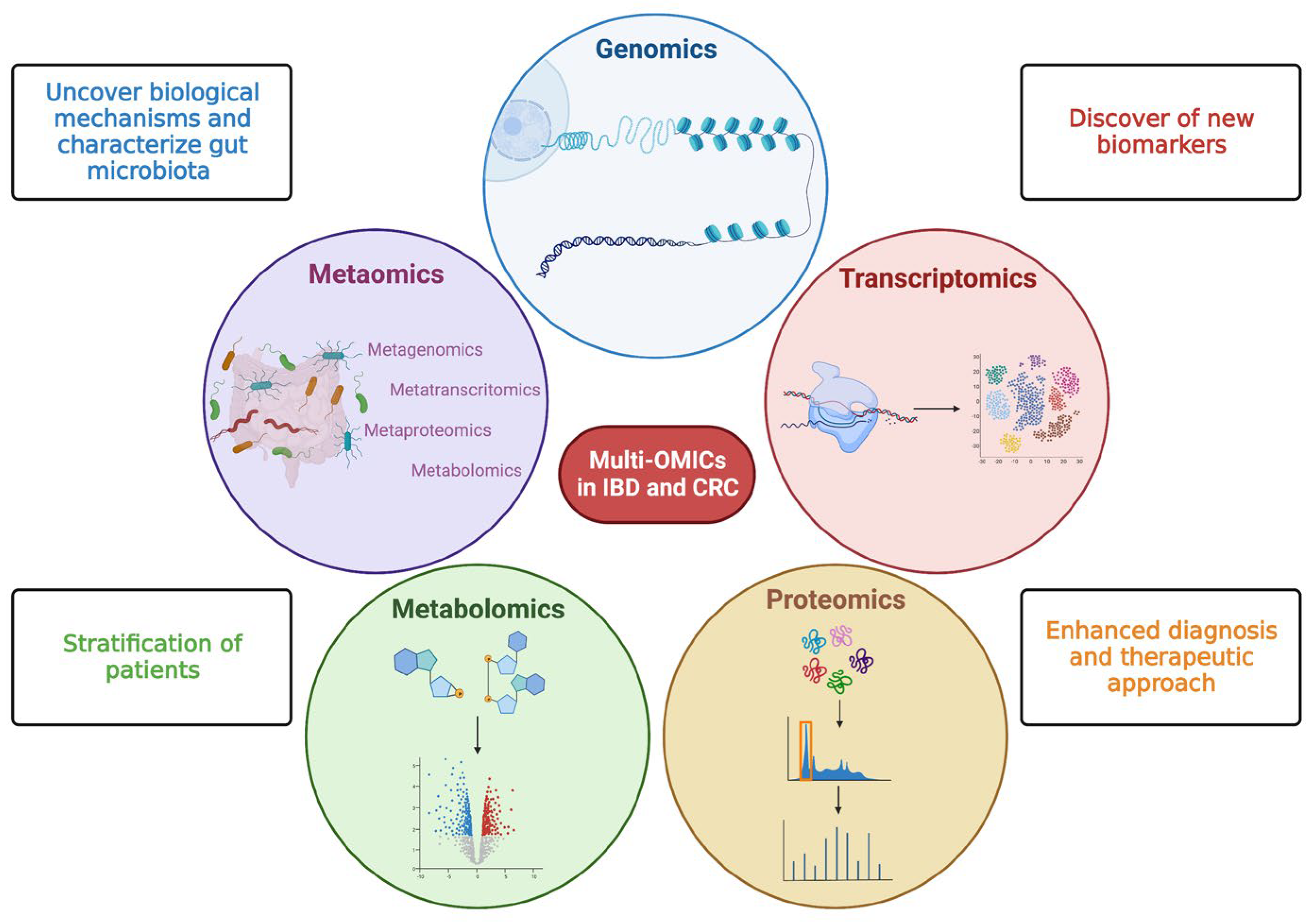 Cancers Free Full Text Inflammation Driven Colorectal Cancer Associated With Colitis From