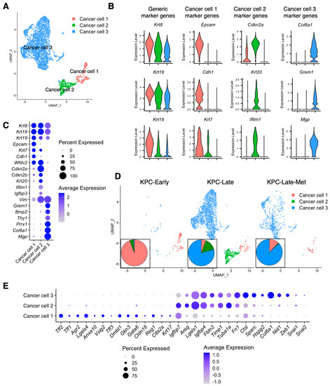 Cross-Dataset Single-Cell Analysis Identifies Temporal Alterations in ...