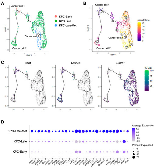 Cross-Dataset Single-Cell Analysis Identifies Temporal Alterations in ...