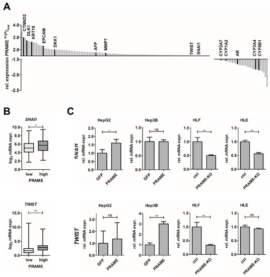 Cancers Free Full Text Prame Is A Novel Target Of Tumor Intrinsic