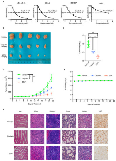 An Isoxazoloquinone Derivative Inhibits Tumor Growth by Targeting STAT3 ...