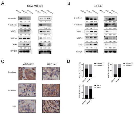 Chromatin Remodelling Molecule ARID1A Determines Metastatic Heterogeneity in Triple-Negative ...