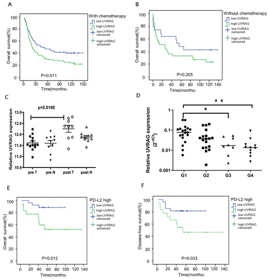 UVRAG Promotes Tumor Progression through Regulating SP1 in Colorectal ...