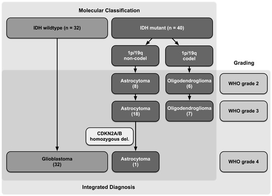 Cancers | Free Full-Text | Risk Estimation in Non-Enhancing Glioma ...