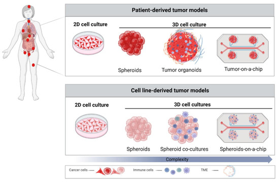Tumor Organoid And Spheroid Models For Cervical Cancer