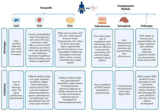 Experimental Murine Models for Colorectal Cancer Research