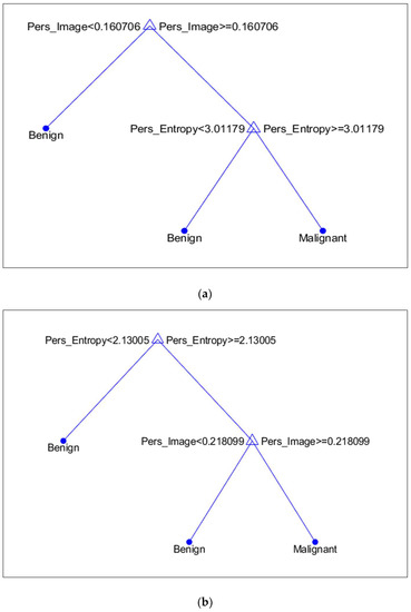 Persistent Homology-Based Machine Learning Method for Filtering and Classifying Mammographic ...
