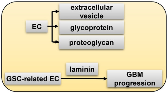 The Role of Hypoxia and Cancer Stem Cells in Development of Glioblastoma