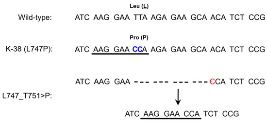 Performance of Ultra-Rapid Idylla™ EGFR Mutation Test in Non-Small-Cell ...