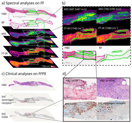 Spatial Omics Imaging of Fresh-Frozen Tissue and Routine FFPE ...