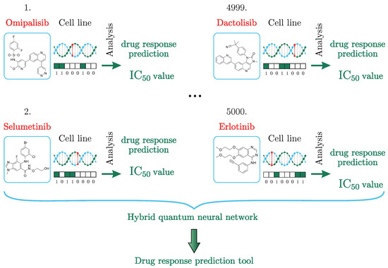 Hybrid Quantum Neural Network for Drug Response Prediction