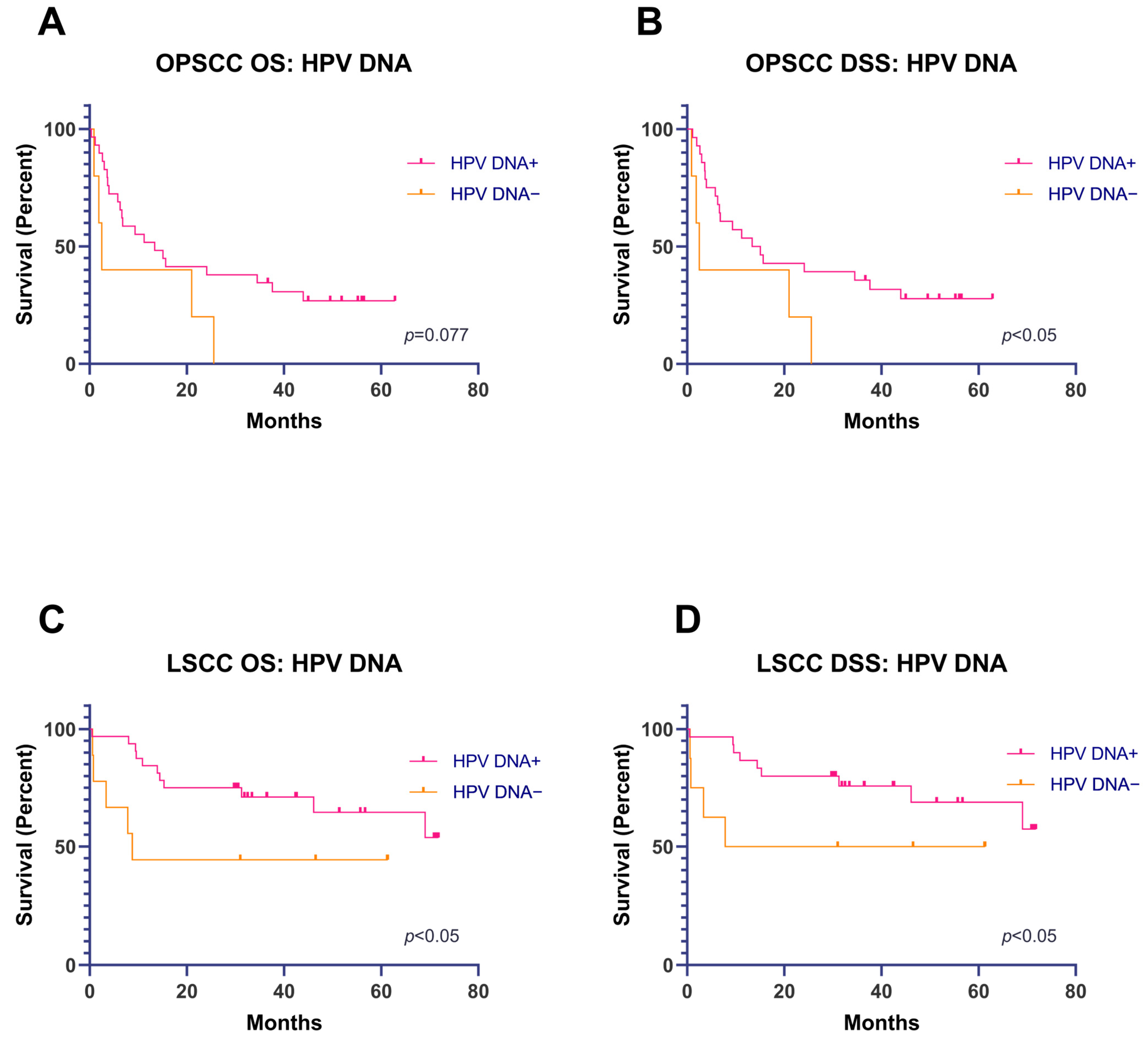 Cancers Free Full Text The Role Of The P16 And P53 Tumor Suppressor