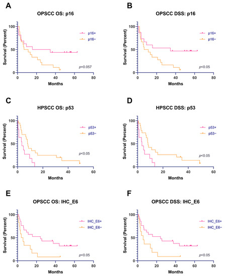 The Role of the p16 and p53 Tumor Suppressor Proteins and Viral HPV16 ...