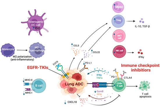 Breaking the Invisible Barriers: Unleashing the Full Potential of ...