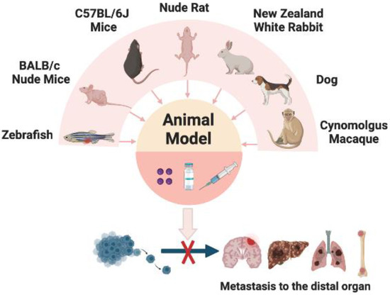 Inhibitory Potential of Resveratrol in Cancer Metastasis: From Biology ...