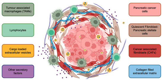 Re-Shaping the Pancreatic Cancer Tumor Microenvironment: A New Role for ...