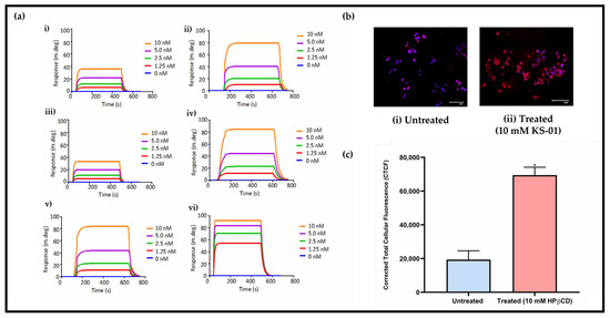 2-Hydroxypropyl-β-cyclodextrin (HPβCD) as a Potential Therapeutic Agent ...