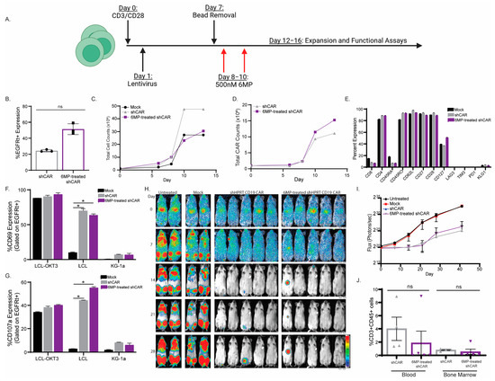 Evaluation of the Elements of Short Hairpin RNAs in Developing shRNA ...
