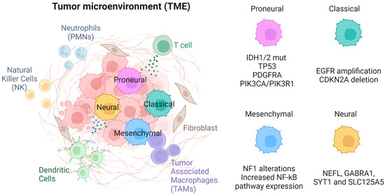 Interdependencies of the Neuronal, Immune and Tumor Microenvironment in ...