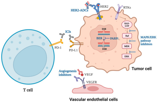 Cancers | Free Full-Text | Immune Checkpoint Inhibitors Combined with ...