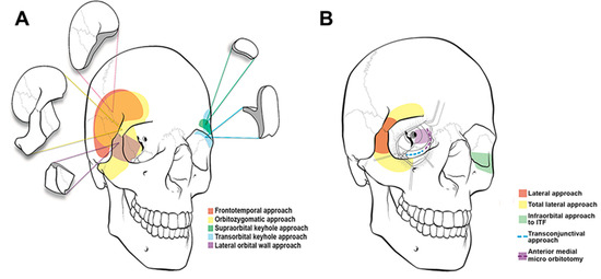 Cancers | Free Full-Text | History, Current Techniques, and Future ...