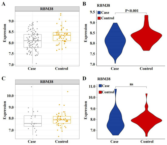 RBM38 Reverses Sorafenib Resistance in Hepatocellular Carcinoma Cells ...