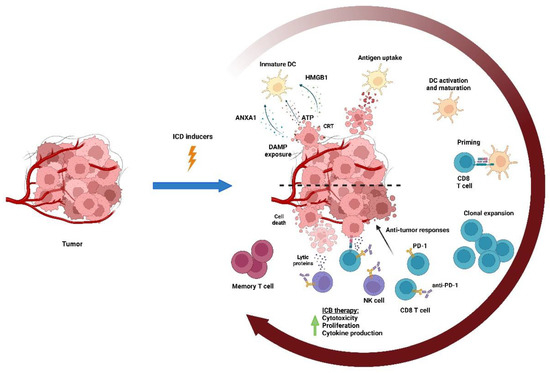 Chemo-Immunotherapy: A New Trend in Cancer Treatment