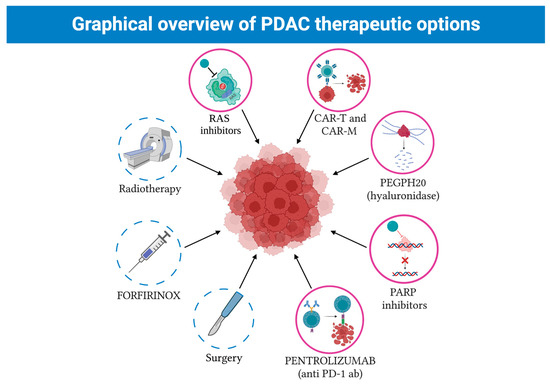 PDAC, the Influencer Cancer: Cross-Talk with Tumor Microenvironment and ...