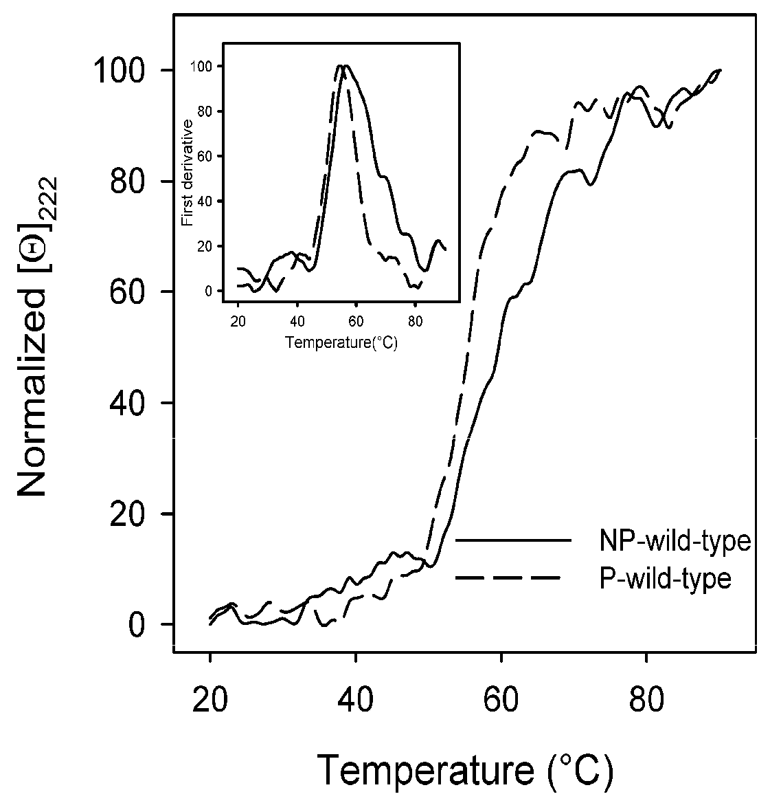 Cancers | Free Full-Text | Mutation in the Common Docking Domain Affects MAP Kinase ERK2 ...