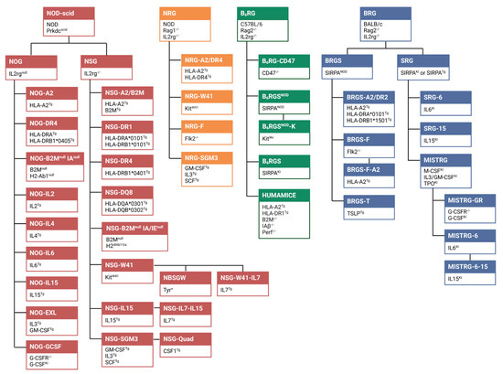 Cancers | Free Full-Text | Modeling the Tumor Microenvironment and ...