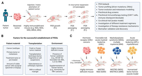 Modeling the Tumor Microenvironment and Cancer Immunotherapy in Next ...