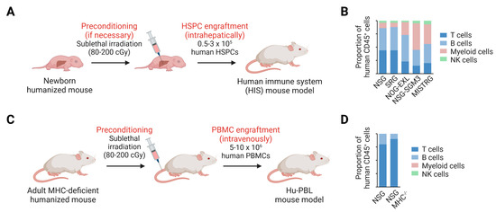 Modeling the Tumor Microenvironment and Cancer Immunotherapy in Next-Generation Humanized Mice