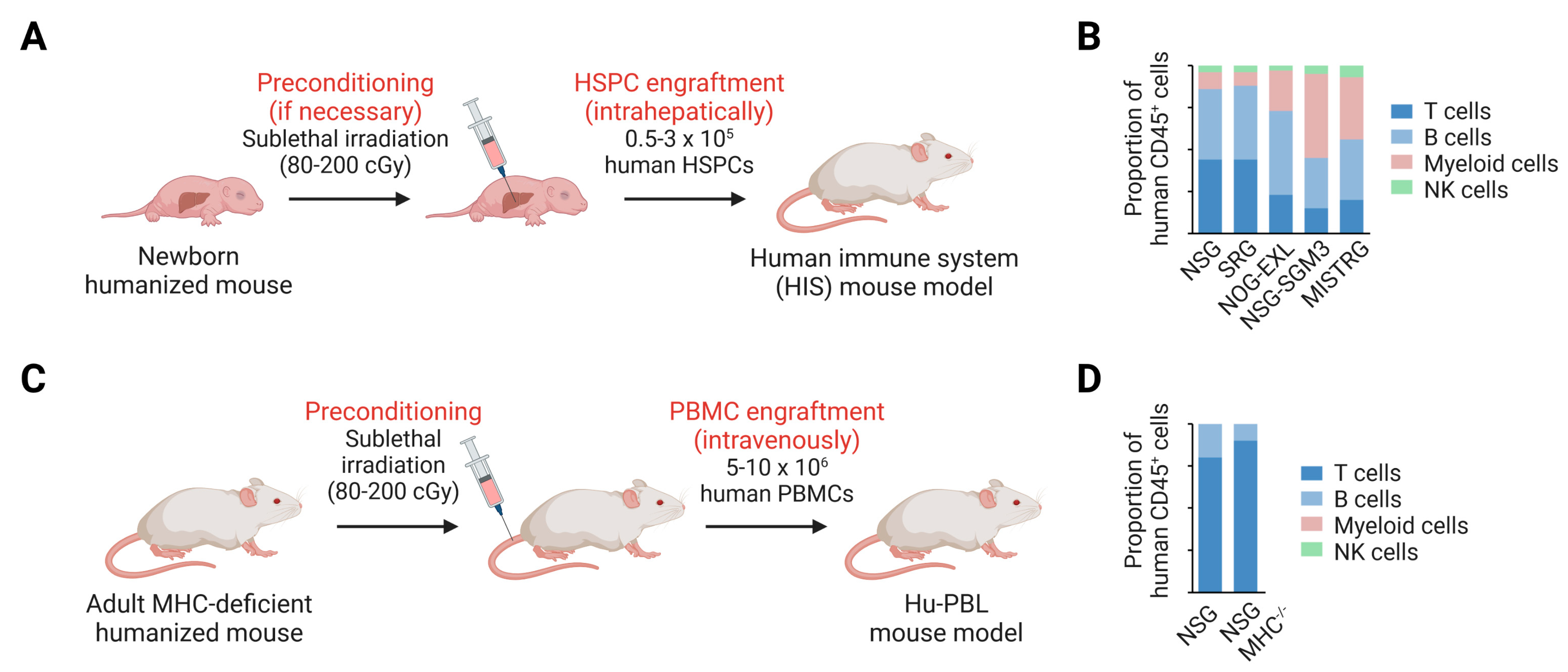Cancers Free Full Text Modeling The Tumor Microenvironment And