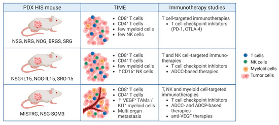 Modeling the Tumor Microenvironment and Cancer Immunotherapy in Next ...