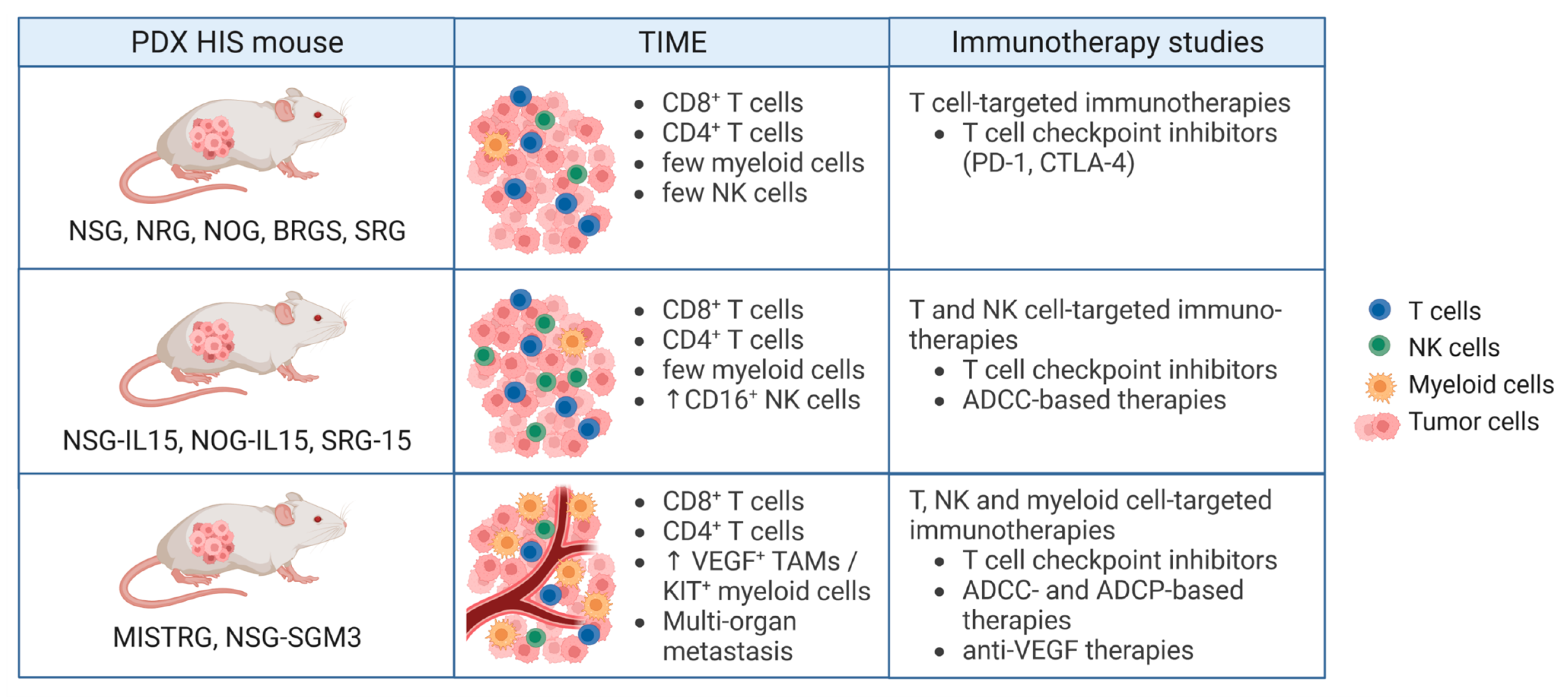 Cancers Free Full Text Modeling The Tumor Microenvironment And