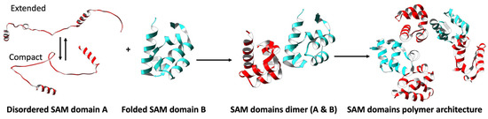 The Structural Dynamics, Complexity of Interactions, and Functions in ...