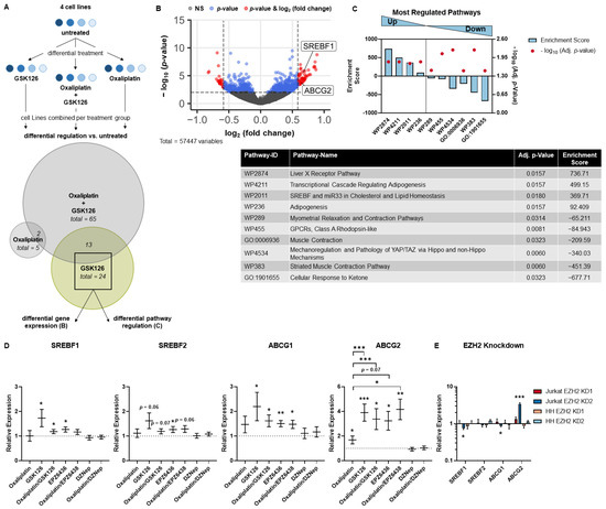 Cancers | Free Full-Text | SAM-Competitive EZH2-Inhibitors Induce ...