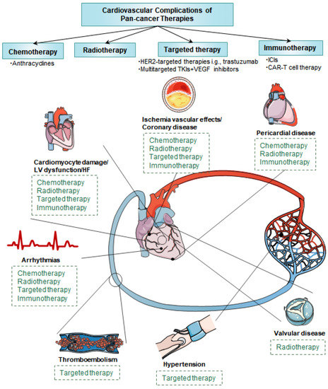 Cancers | Free Full-Text | Cardiovascular Complications of Pan-Cancer ...