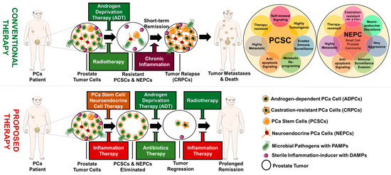 The Molecular Basis and Clinical Consequences of Chronic Inflammation ...