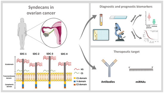 Role of Syndecans in Ovarian Cancer: New Diagnostic and Prognostic ...