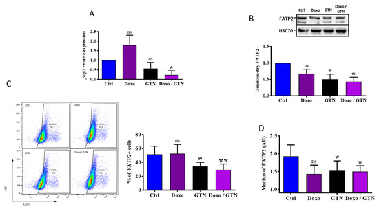 GTN Enhances Antitumor Effects of Doxorubicin in TNBC by Targeting the ...