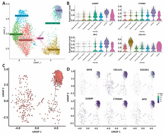 Cancers | Free Full-Text | Spatial Transcriptomics Identifies ...