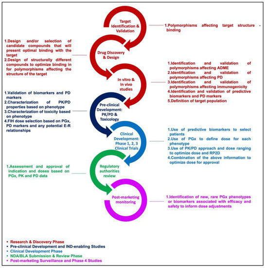 Dose Optimization in Oncology Drug Development: The Emerging Role of Pharmacogenomics ...