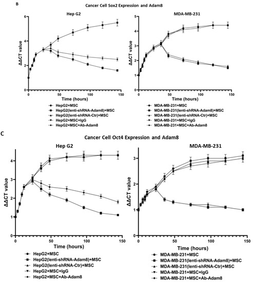 RNA Aptamer Targeting of Adam8 in Cancer Growth and Metastasis