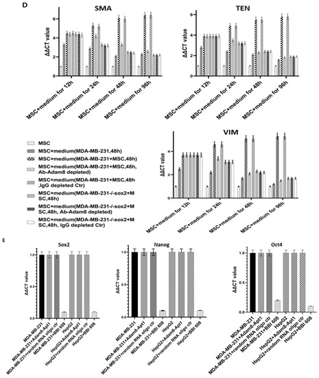 RNA Aptamer Targeting of Adam8 in Cancer Growth and Metastasis