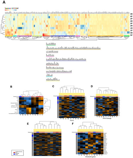 Spatial Distribution of Immune Cells in Primary and Recurrent ...
